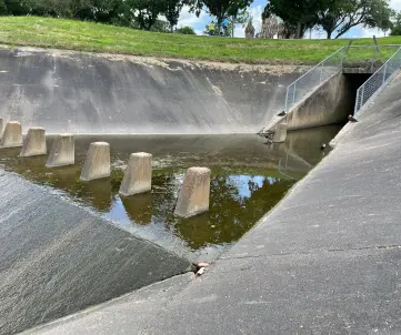 Home - Isani Consultants